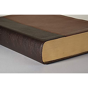 Every Man's Bible: New Living Translation, Large Print, TuTone (LeatherLike, Brown/Tan) – Study Bible for Men with Study Notes, Book Introductions, and 44 Charts