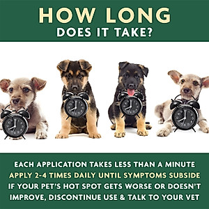 Vet Organics Hot Spot Spray for Dogs and Cats – EcoSpot 4 Oz. Natural Skin Soother Solution for Cat and Dog Allergy Support, Itch Relief, Rashes, and Raw Skin – Cat and Dog Health Supplies