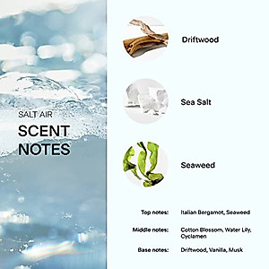 Skylar Salt Air Eau de Parfum - Hypoallergenic & Clean Perfume for Women & Men, Vegan & Safe for Sensitive Skin - Fresh Perfume with Notes of Driftwood, Sea Salt & Seaweed - 10mL /0.33 Fl oz