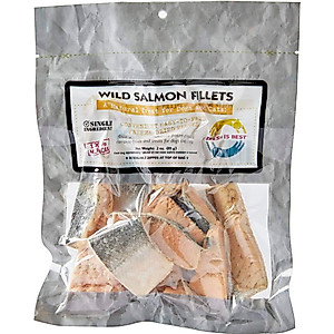 Fresh Is Best - Freeze Dried Healthy Raw Meat Treats for Dogs & Cats - Wild Salmon Fillets