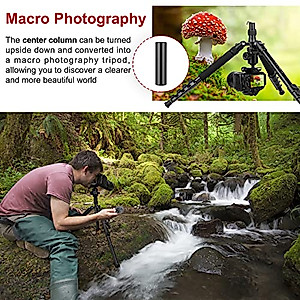 Tripod for Camera, 81" Camera Tripod Stand, 83 inches DSLR Tripods & Monopods, Heavy Duty Travel Tripod for Binoculars Laser Level Spotting Scope Telescope, Professional Complete Tripod Units