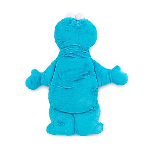 Jay Franco Sesame Street Plush Stuffed Cookie Monster Large Pillow Buddy - Super Soft Polyester Microfiber, 22 inch (Official Sesame Street Product)