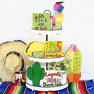 Kitticcino Fiesta Party Decorations Mexican Party Decorations Cinco de Mayo Decors Taco Party Table Decors Cocktail Bar Wooden Signs Summertime Margarita Drink Home Kitchen Shelf Sitting Set of 4