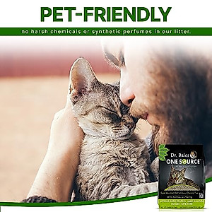SPOT by Ethical Products – Dr Bales One Source 100% Natural Cat Litter from Yuca Root/Cassava - 2X Long Lasting - Dust Free, Odor Controlling Premium Clumping Cat Litter - 4.4lbs - Small (34002)