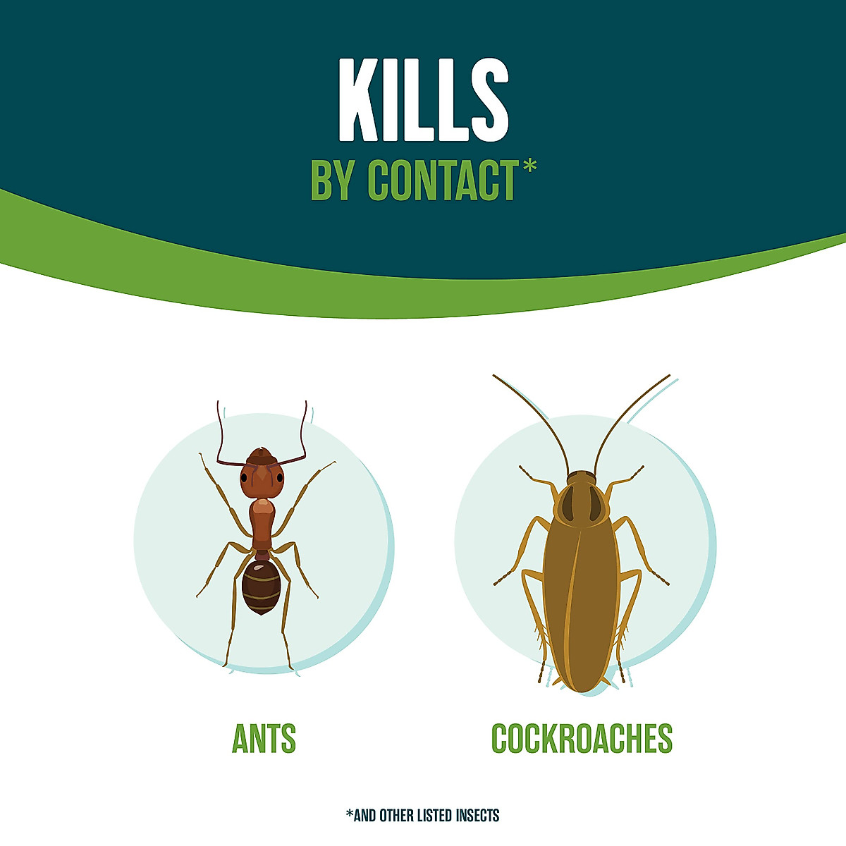 Ecologic Ant & Roach Killer, Indoor Defense, Also Kills Spiders & Crickets, (Aerosol Spray) 14 fl Ounce