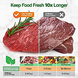 NutriChef PKVS Sealer | Automatic Vacuum Air Sealing System Preservation w/Starter Kit | Compact Design | Lab Tested | Dry & Moist Food Modes | Led Indicator Lights, 12", Silver