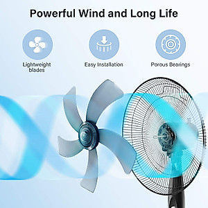 Simple Deluxe Oscillating 16″ 3 Adjustable Speed Pedestal Stand Fan for Indoor, Bedroom, Living Room, Home Office & College Dorm Use, 16 Inch, Black