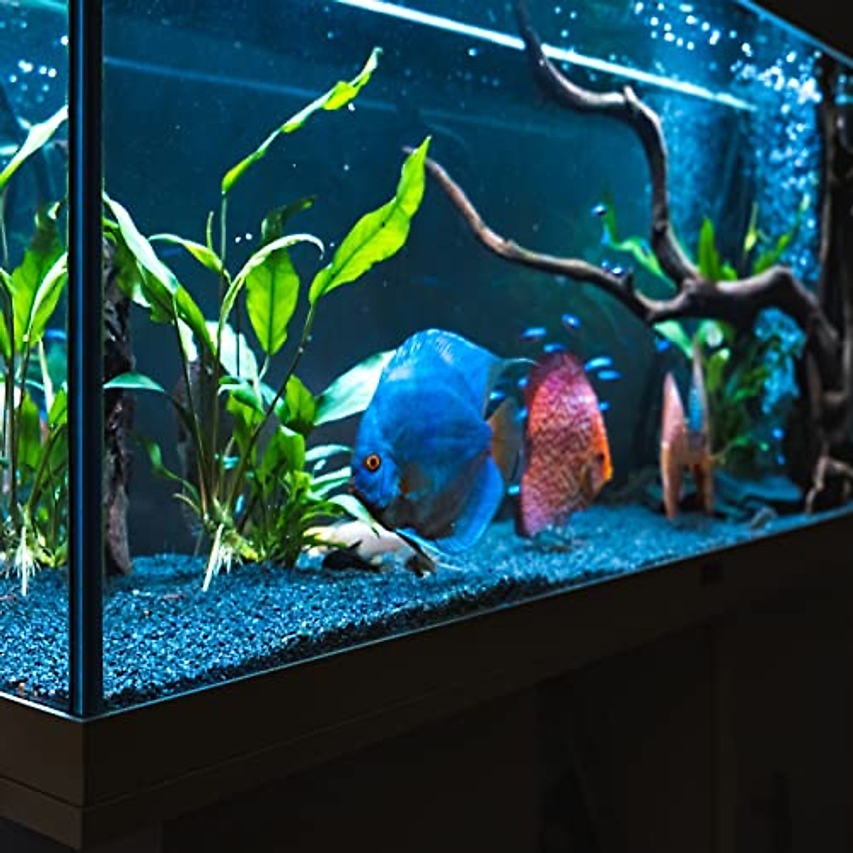 Kraken Bond 100% Silicone Aquarium Safe Sealant - Waterproof Bond to Glass, Non-Toxic Aquarium Sealer Clear for Freshwater & Saltwater Aquarium | 1 Pack, 10.1 Fl. Oz. Cartridge