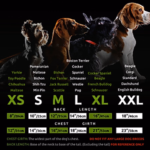 Fitwarm Thanksgiving Sweeter Than Pumpkin Pie Dog Dress 100% Cotton Puppy Costumes Pet Clothes Holiday Girl One-Piece Doggy Outfits Tank Top Vest Dresses Cat Apparel Orange Medium