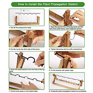Plant Terrarium, Plant Propagation Stations with Wooden Stand, Gift for Women, Office Decoration - 5 Bulb Vase
