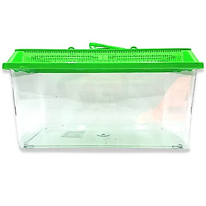Mini Neon Plastic Reptile Carrier, Small Terrariums for Hermit Crabs, Lizards, and More with Palm Tree Accessory, Crab Hunting Supplies, Color May Vary, 7 Inches