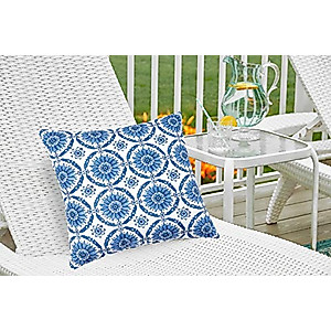 C&F Home Colonial Williamsburg Delft Garden Blue & White Geometric Premium Indoor/Outdoor Pillow Decor Decoration Accent Throw Pillow 18" x 18" Blue
