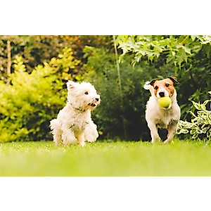 PetSmart Invisible Fence Compatible Above Ground or Underground Wire for DIY Electric Pet Fence - 1500 Foot Spool of Better Quality High Performance Solid Core Copper Wire for Easy Installation