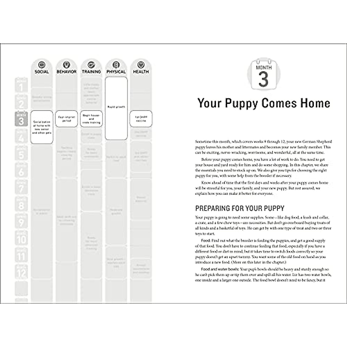 Your German Shepherd Puppy Month by Month, 2nd Edition: Everything You Need to Know at Each State to Ensure Your Cute and Playful Puppy (Your Puppy Month by Month)