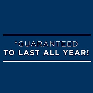 AT-A-GLANCE 2023-2024 Planner, Weekly & Monthly Academic, Simplified by Emily Ley, 8-1/2" x 11", Large, Leatherette, Blush (EL13-905A)