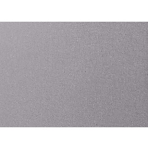 Crown Mark Erin Upholstered Panel Bed in Gray, Queen