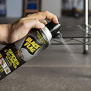 Black Flag Spider and Scorpion Killer 16 Ounces, Aerosol Insecticide SprayAdditional Product Name: Black Flag Spider and Scorpion Killer 16 Ounces, Aerosol Insecticide Spray 12 pack