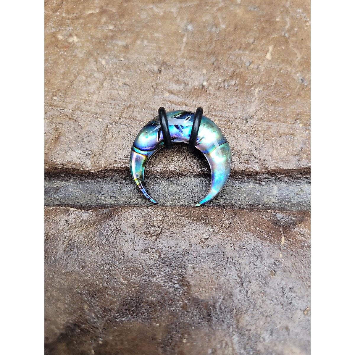 Zaya Body Jewelry Pair Abalone Shell Pinchers Horseshoes 00g 0g 2g 4g 6g 8g Ear Plugs Tunnels Tapers Gauges Septum (2g 6mm)