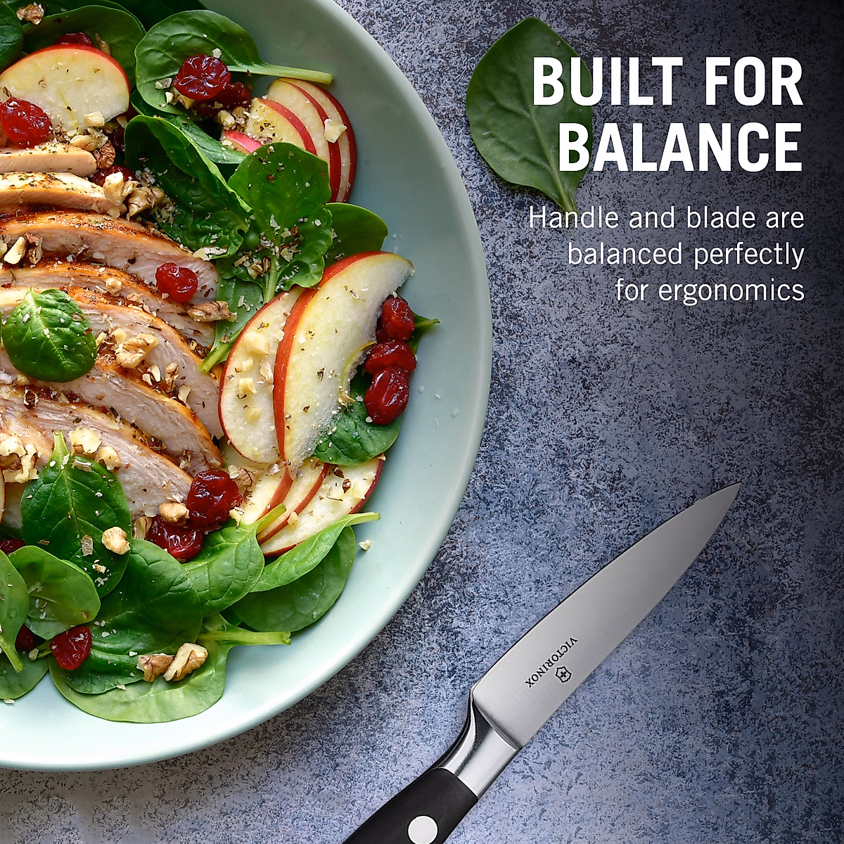 Victorinox Grand Maitre Paring Knife - Kitchen Knife for Slicing Fruits & Vegetables - Ergonomic Cooking Knife - Premium Stainless Steel Cutting Knife for Kitchen Accessories - 3"