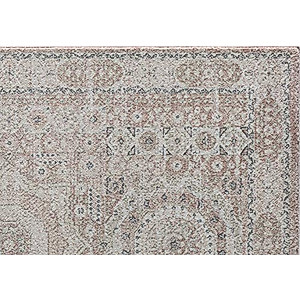 Rugs America Harper HY60A Pink Lemonade Transitional Vintage Area Rug, 5'x7'