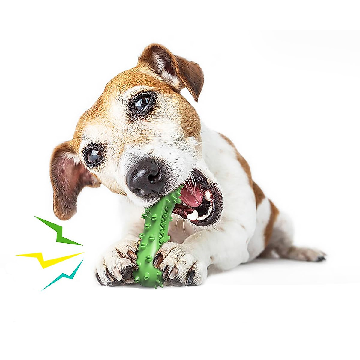 Averxia - Dog Toys, Squeaky Dog Toy, Puppy Chew Toys for Teething, Dog Toys for Aggressive Chewers - for Small, Medium, Large Dogs