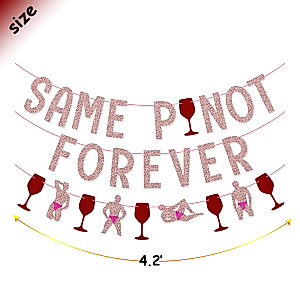 Same Pinot Forever Bachelorette Party Banner for Wine Bachelorette Party Napa Bachelorette Party Decorations