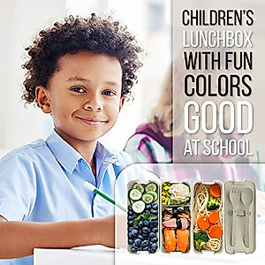 ZFBB Bento box for kids and adults with Dividers 1100 ml - Leakproof lunchbox with utensils - Lunch Solution Offers Durable, Leak-Proof, On-the-Go Meal and Snack Packing (Beige)