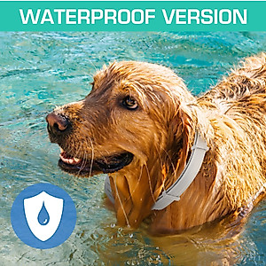 UrbanX Natural Flea Flea & Tick Treatment & Prevention Collar for Medium & Large Dogs, Waterproof, Adjustable (2 Packs)