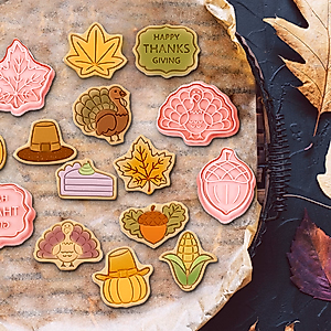 16 Pieces Fall Thanksgiving Cookie Cutters with Plunger Stamps Set Fall Biscuit Mold Maple Leaf Turkey Pumpkin 3D Cookie Stamper Plastic DIY Cookie Tools for Thanksgiving Day Baking Fondant Supplies