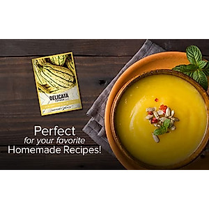 Delicata Squash Seeds for Planting - Winter Squash Heirloom, Non-GMO Vegetable Squash Variety- 3 Grams Seeds Great for Summer Garden by Gardeners Basics