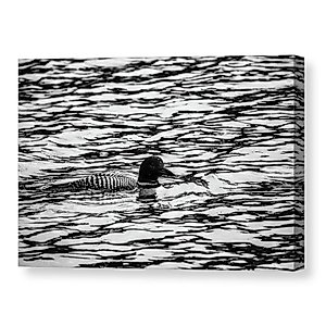 Black and White CANVAS Print Nature Photo Swimming Loon on Water Bird Photography Silver Gray Wall Art Monochrome Home Decor Ready to Hang
