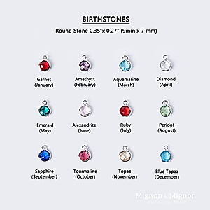 MignonandMignon Silver Custom Birthstone Necklace Birth Flower Name Personalized Gift for Her Bar Name Necklace for Mom Mothers Day Gift Floral Jewelry Handmade Jewelry -8N-FLBS-S