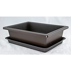Rectangular Plastic Bonsai Training Pot, Cactus & Succulent Planter + Tray 10"x 7.5"x 3" - Dark Brown