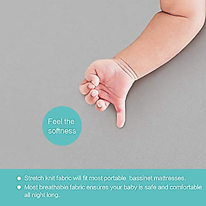 Nicesure Microfiber Fitted Crib Sheet - Soft and Breathable Toddler Sheets for 28 x 52in Fits Standard Crib and Toddler Mattress,2 Pack Set (Gray)