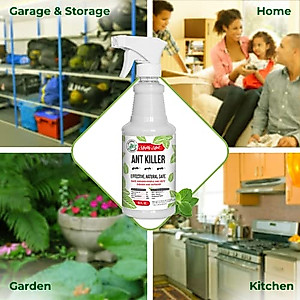 Mighty Mint - 16oz Natural Peppermint Oil Ant Killer and Repellent Spray - Safe for Indoor/Outdoor Use