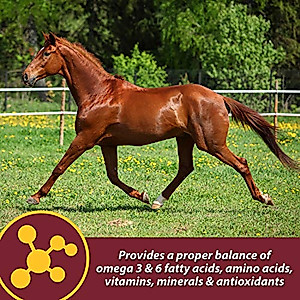 Farnam Laser Sheen Skin & Coat Supplement for Horses, Promotes Healthy Skin & Radiant Coat from The Inside Out, 7.5 Pound, 60 Day Supply