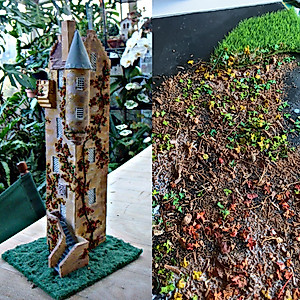 Cayway Realistic Miniature Leaves,4 Pack Shrink Model Scenery Leaf, 4 Color Simulation Leaves for DIY Railway Fairy Garden Simulation Vine for Fairy Garden Diorama Scenery Landscape Layout