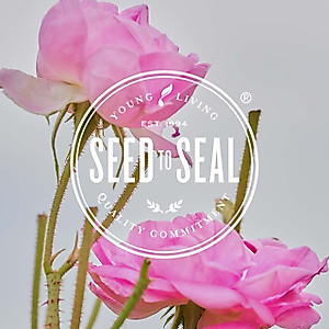 Young Living Lavender Volume Shampoo Essential Oils - Cleanses and Nourishes Fine Hair - 8 fl oz - Gently Cleanses Fine Hair for a Boost of Body and Shine from Root to Tip