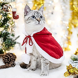Pet Christmas Costume, Dog Cat Cape with Hat Santa Claus Cloak, Christmas Outfits Costume for Cats and Small Dogs Red(Large)