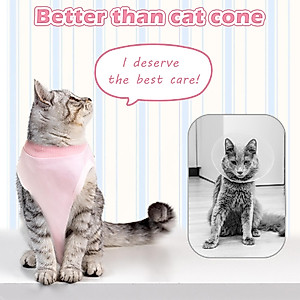 2Pack Cat Surgery Recovery Suit Clothes for Female and Male,Cat Onesie Shirts for Cat After Surgery,Cat Spay Surgical Recovery Suit Stop Licking Abdominal Wound,Cat Cone Collar Substitute-Pink&Blue,M
