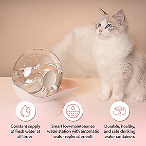 McLovin's Gravity Pet Water Dispenser, 94 oz Capacity, Pink - Easy to Use, BPA-Free Cat Feeder Water Bowl Dispenser with 3 Carbon Filters - Automatic Water Dispenser for Cats, Dogs, Multiple Pets