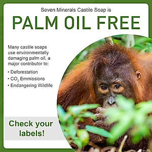 Seven Minerals EWG Verified Unscented Castile Soap & Sweet Orange Castile Soap