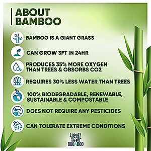 BOONBOO Bamboo Dental Floss Picks, 20 Counts