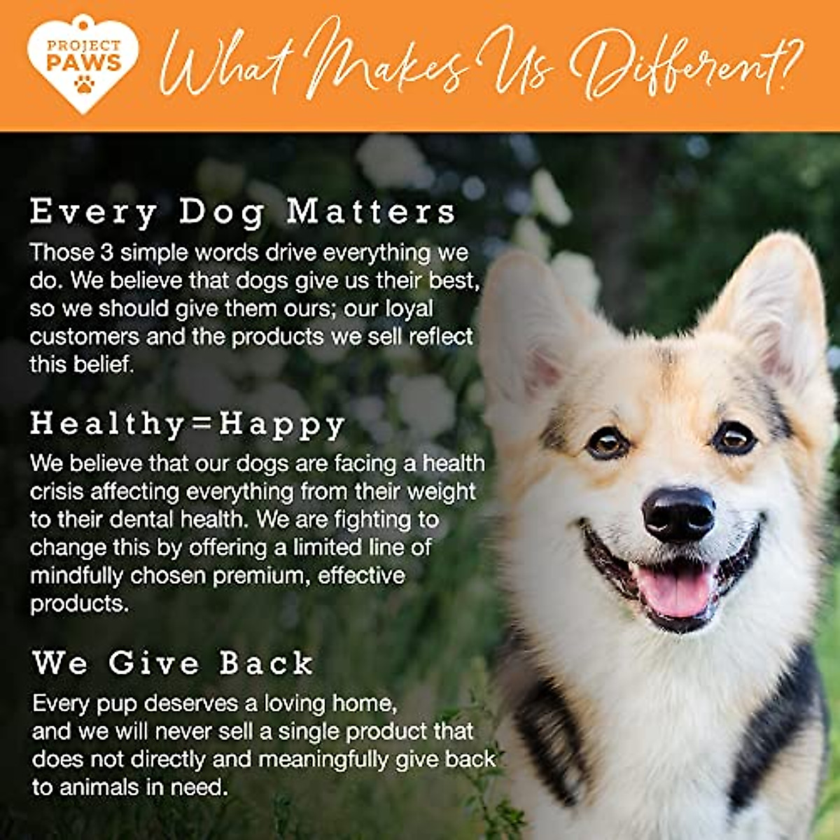 Project Paws Omega 3-6-9 Select Fish Oil for Dogs - Krill Oil Skin and Coat Supplement - 120 Count