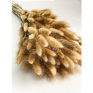100 Pcs Natural Lagurus Ovatus Rabbit Tail Dried Flowers,17 inch/45 cm Dried Bunny Tails Grass Decor for Home Kitchen Garden Party Photographing Flower Arrangement Vase Decoration