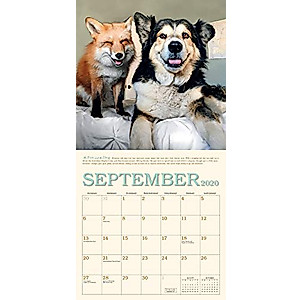 Unlikely Friendships Wall Calendar 2020