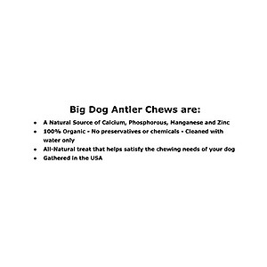 Big Dog Antler Chews - Grade B Deer and Elk Antler Pieces - Dog Chews - Antlers by The Pound, One Pound - Six Inches or Longer - Natural Healthy Long-Lasting Treat