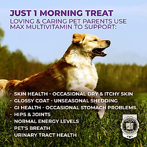 Mighty Petz MAX Dog Multivitamin - Senior & Adult Dog Vitamins 10 in 1 Complete Support for Joints, Immunity, Mobility, Gut, Energy, Skin Health. Daily Pet Chewable Supplement