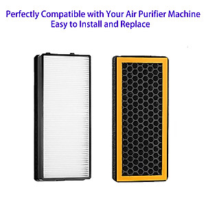 AT-PET01 AT-PET02 Replacement Filter for HoMedics PetPlus AT-PETODR and TotalClean AT-OFL, AT-PET01, AT-PET02 and AR-45, 2 Pack H13 True Hepa and 2 Pack Activated Carbon Filter