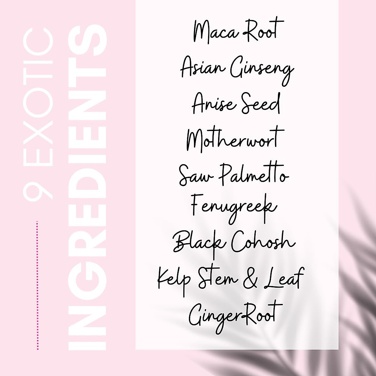 Viva La Cheetah Booty Enhancing Gummy Supplement, Big Butt Enhancer, Workout Support, Multivitamin for Women, Natural Glute Boost Vitamins for a Curvy Shape & Max Gains, 60 Vegan Gummies